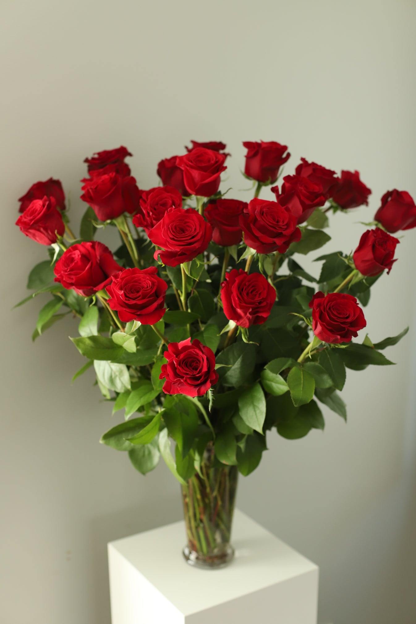 Premium Long-Stem Red Roses for Valentine's Day | Chicago Local ...